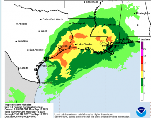 Hurricane Nicholas expected to become hurricane; could be local rain ...