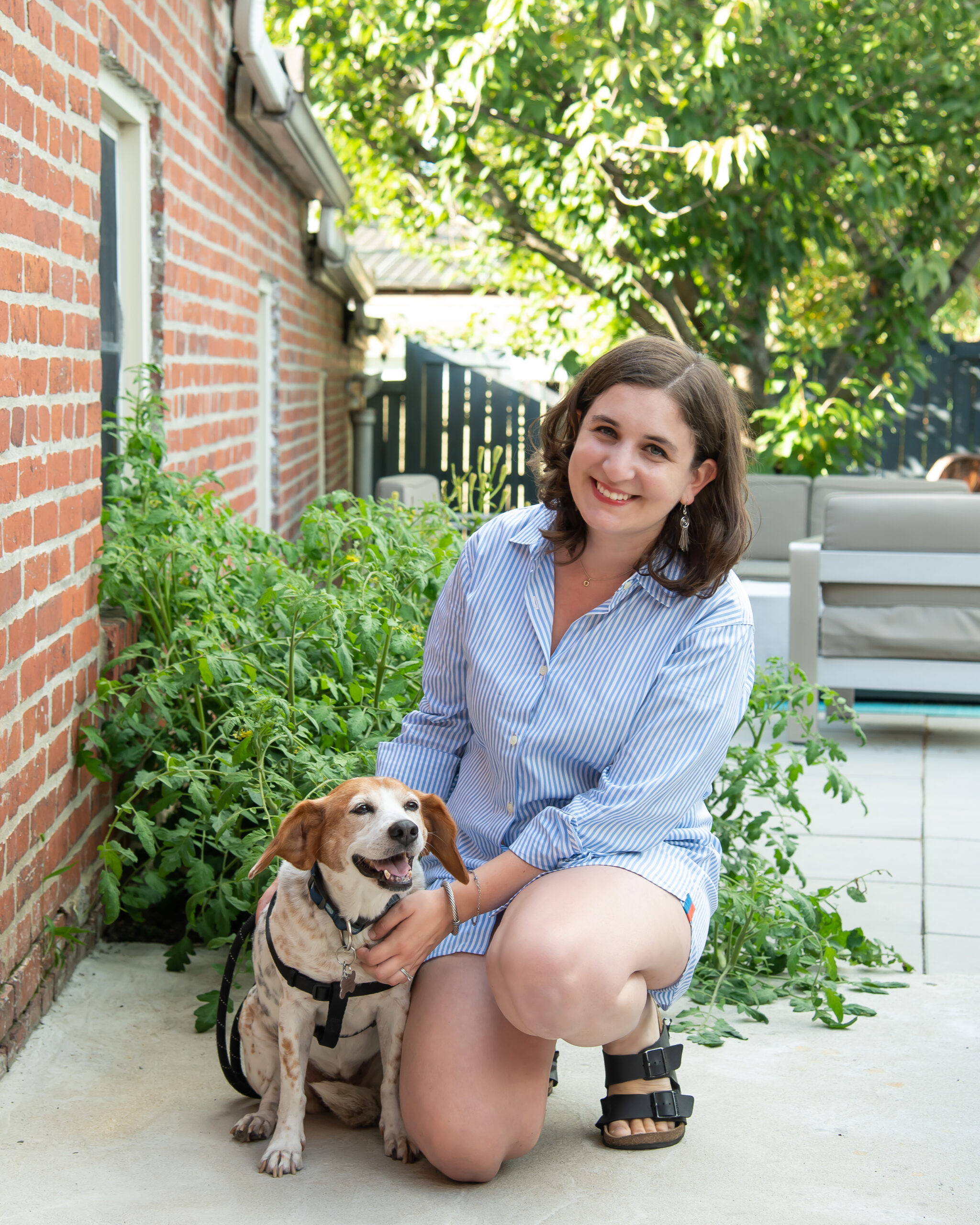 ‘Bad Jews’ describes a history of American Jewish infighting - Crescent ...